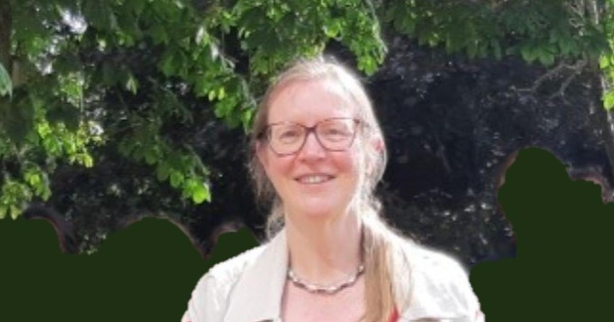 Professor Seth receives the Palmes Académiques | Faculty of Medieval ...